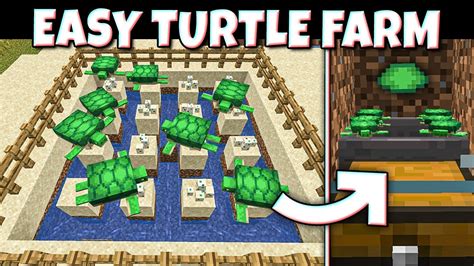Simple Turtle Farm For Minecraft 1 19 Easy Scute And Eggs Youtube