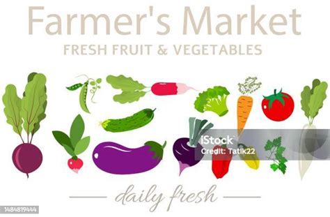 파머스 마켓 포스터 회색 비문과 신선한 밝은 야채 파머스 마켓 포스터 컬렉션 지역 음식 박람회를 위한 벡터 배너 템플릿입니다 광고에 대한 스톡 벡터 아트 및 기타 이미지