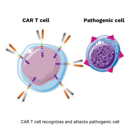 For Patients Sana Biotechnology