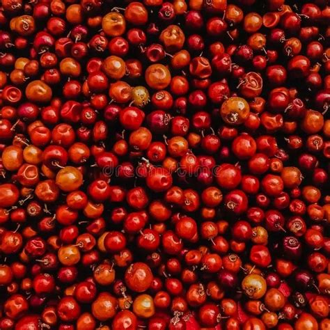 A Grade Fresh Ber Fruit Packaging Type Carton Packaging Size 5 Kg