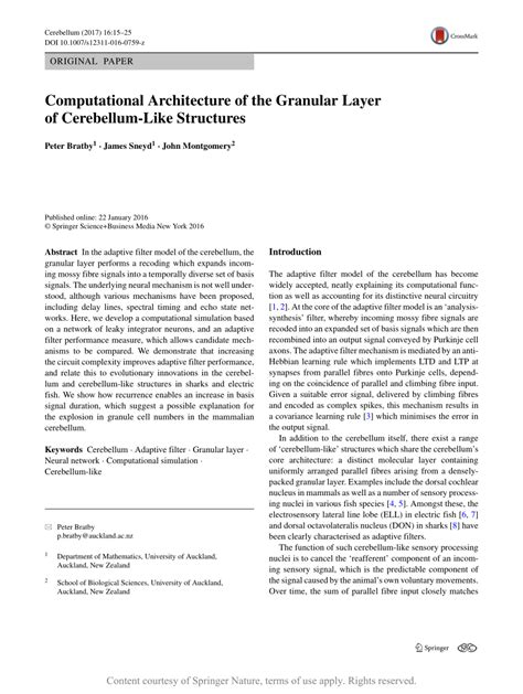 Computational Architecture Of The Granular Layer Of Cerebellum Like Structures Request Pdf