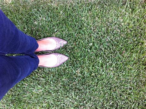 Green Grass Shoes These Shoes Will Never Set Foot In A By Chalon