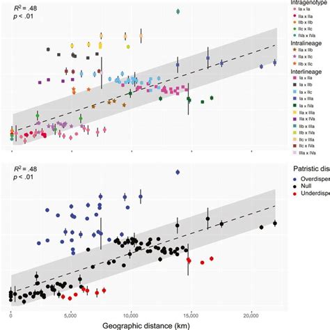 Linear Correlation Between Patristic Distance As A Function Of