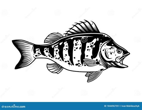 Largemouth Bass Vintage Concept Stock Vector Illustration Of Enamel