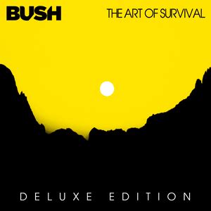 Bush Albums And Discography