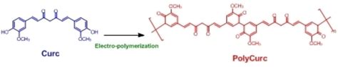 Sensitive Amperometric Detection Of Hydroxylamine At Electropolymerized Curcumin Film Coated
