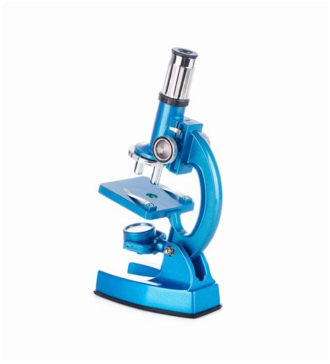 Microscope 100x 2000x Insekt Label Biotech