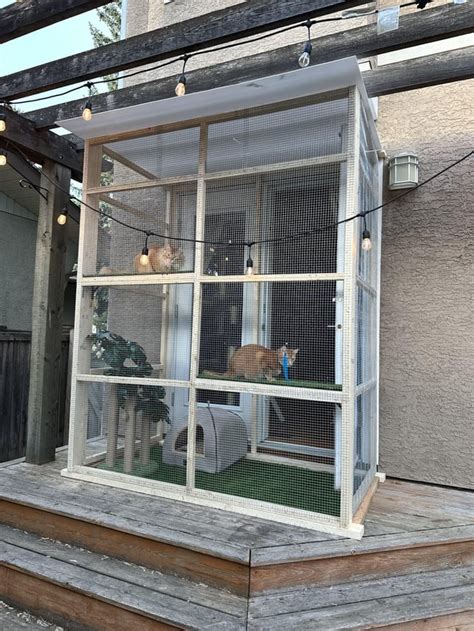 3 Wall Catio Rcatio