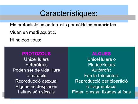 Protoctists Ppt