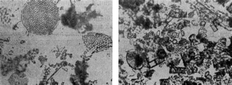 Фильтрация на диатомитовых фильтрах [1977 Главачек Ф., Лхотский А ...