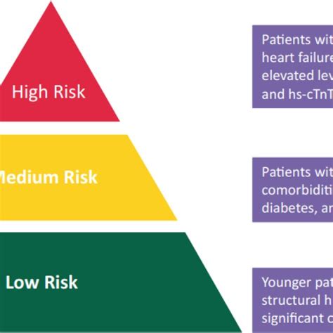 Sex Differences In Symptoms Related To Atrial Fibrillationy¹⁴⁴ Adapted Download Scientific