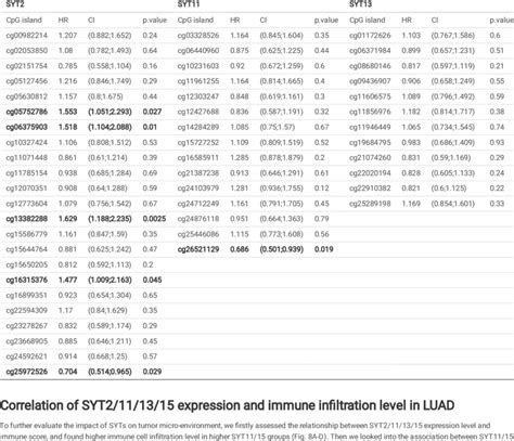 Methylation Of Cpg Islands In Syts And Their Correlation With Prognosis Download Scientific