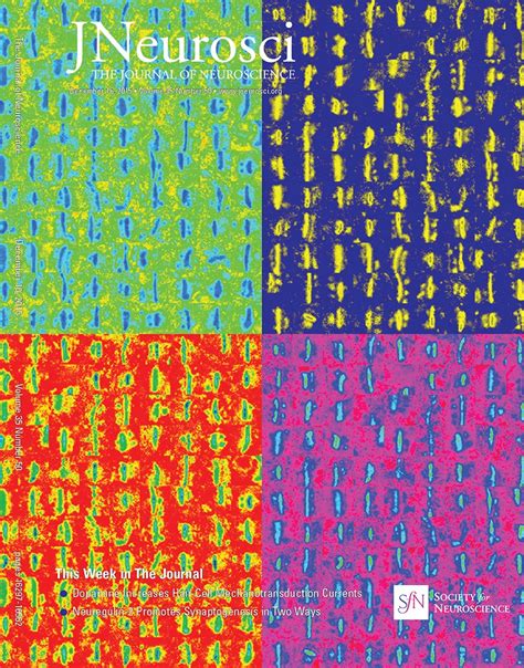 Sex Differences In Nucleus Accumbens Transcriptome Profiles Associated With Susceptibility