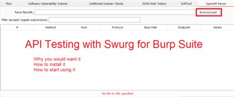 Api Testing With Swurg For Burp Suite Geeks Rejoice
