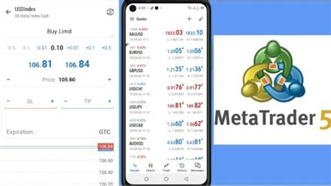 How To Use Metatrader 5 Mobile App Tutorial For Beginnersseo Youtube