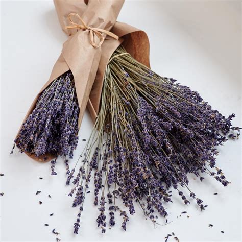 Dried Lavender Bundle White Flower Farm