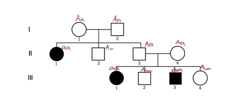การใช้งานทฤษฎีเบย์ Bayess Theorem ในการแก้โจทย์ปัญหาพันธุศาสตร์ Biology By Kru Pbank