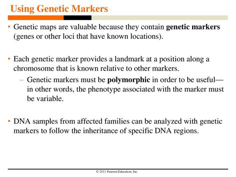 Analyzing And Engineering Genes Ppt Download