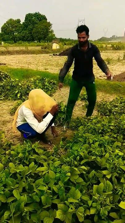 दम है तो हंसी रोक कर दिखाओ Viral Short Funny Comedy😄😆😆😃😃😀😄😃😀