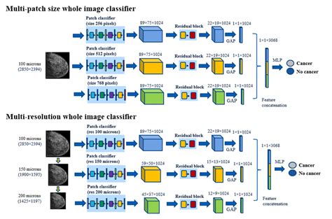 Multi Patch Size And Multi Resolution Architectures Download