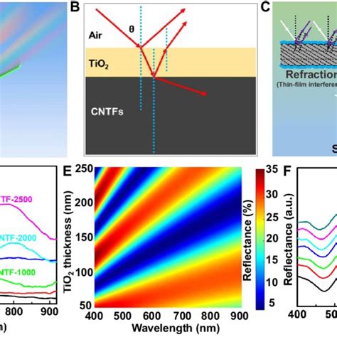 Schematic Illustration Of Structural Coloration And The Reflection Of