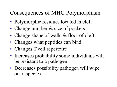 Ppt Mhc Class I Powerpoint Presentation Free Download Id 1777384