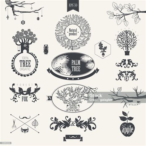 Tree Set Stok Vektör Sanatı And Meşe Ağacı‘nin Daha Fazla Görseli Meşe