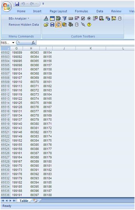 Martin Maruskin Blog Something About SAP How Long BEx Report In Excel Can Be