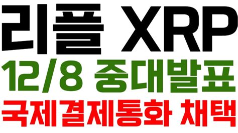 리플 Xrp 12 8 중대발표 국제결제통화 채택 Sec 리플전망2025 리플xrp실시간 리플코인실시간 리플코인목표가 리플코인전망실시간 리플xrp코인 트럼프 Cbdc
