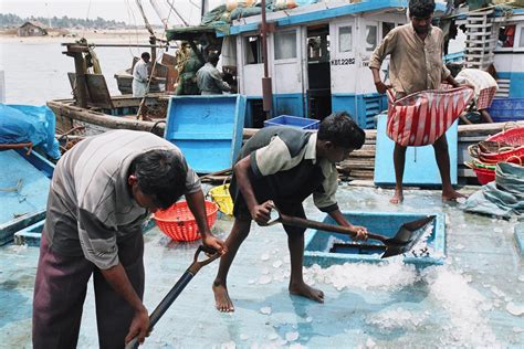 Detecting Forced Labour In Commercial Fishing Itcilo