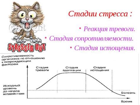 Стресс - признаки, стадии и лечение, диагностика стресса в клинике ...