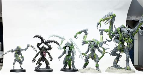 Modern Synthesist Building A Lictor Alpha Or Lictor Prime Project