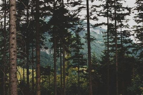 900 Flutter Ideas In 2025 Scenery Aesthetic Pictures Pretty Pictures