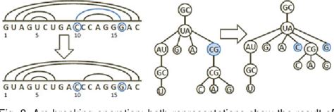 figure 2 from local exact pattern matching for non fixed rna structures