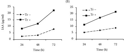 The Production Of Iaa Indole 3 Acetic Acid By Pseudomonas Spp Nuu1