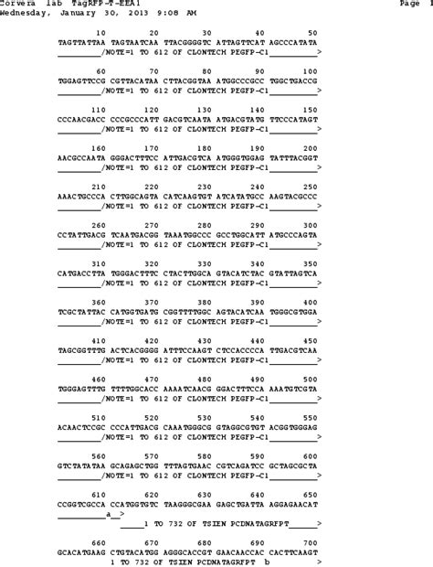 Addgene Tagrfp T Eea1