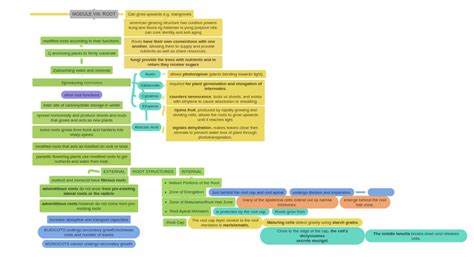 Module Viii Root Root Structures Modified Roots According To Their