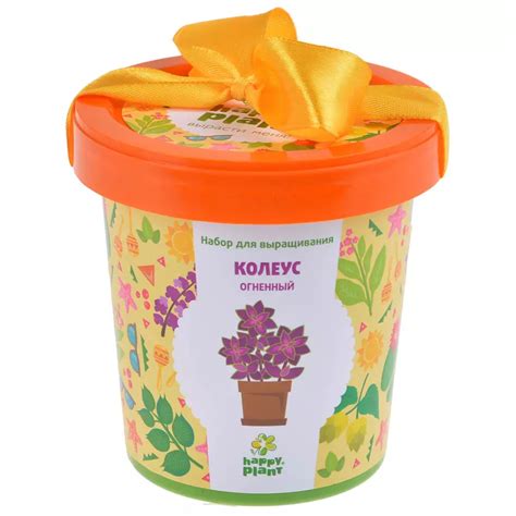 Купить Набор для выращивания Колеус огненный в Мосигре