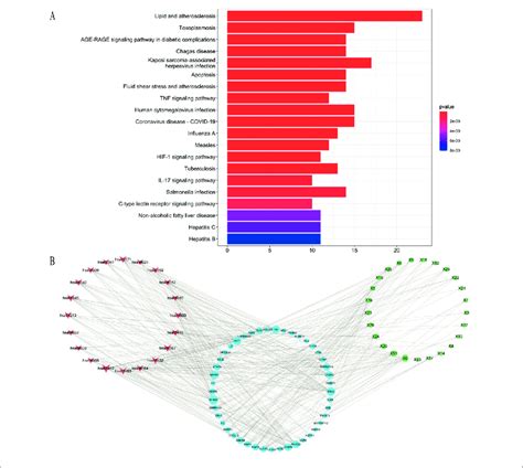 Kegg Target Pathway Annotation Analysis A Kegg Pathway Enrichment