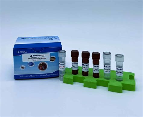 Respiratory Panel Real Time Pcr Detection Biomiga