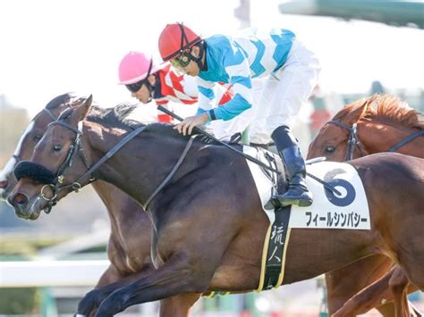 【クリスマスcレース後コメント】フィールシンパシー横山琉人騎手ら 競馬ニュース Netkeiba