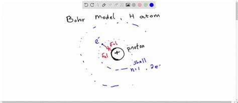 SOLVED How Do The Number Of Protons In An Atomic Nucleus Dictate Numerade