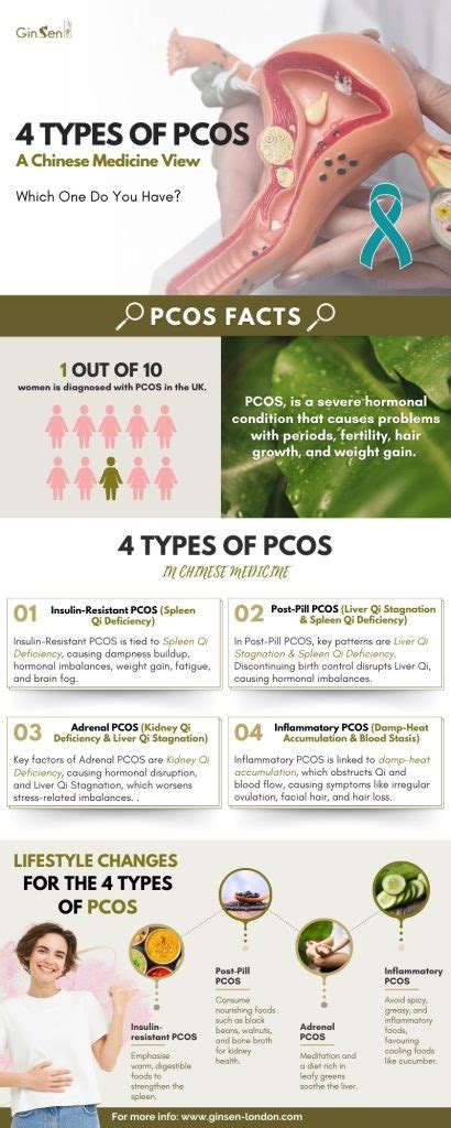 4 Different Pcos Types You Should Know Ginsen