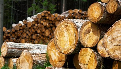 Lumber Company Expanding In Southwest Virginia The Star News Network