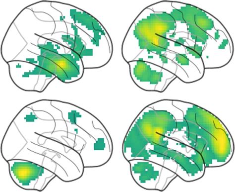 scientists uncover brain signals for good memory performance