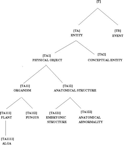 Gateacuk Saleolp Book