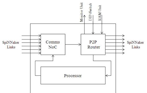 Simplified Model Of Spinnaker Network Components Download Scientific Diagram