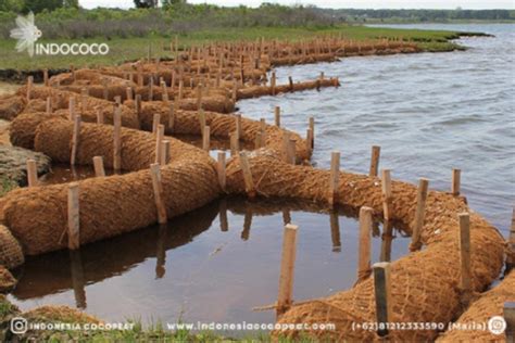 Coir Log Detail A Comprehensive Exploring Coir Logs Detail Guide To Coconut Fiber Rolls