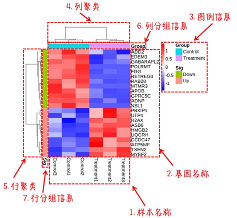 什么是热图？手把手教你看懂热图 知乎