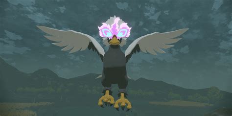 How To Get Hisuian Braviary In Pokemon Legends Arceus